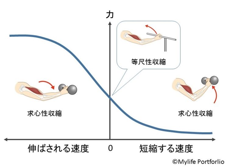 SALTAPSで考えよう！その6【スポーツ現場のアクシデント】 - Mylife Portfolio